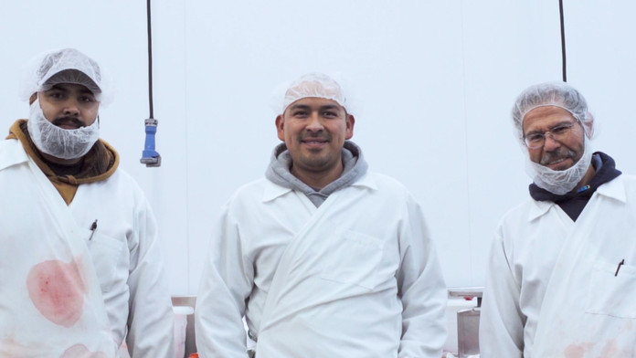Meat Processing - Vitco Foods